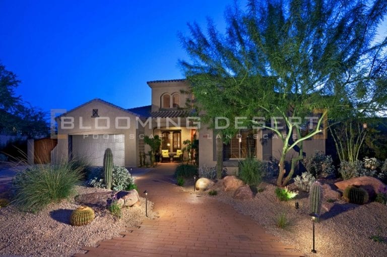 10 Unique Desert Landscape Concepts - Blooming Desert